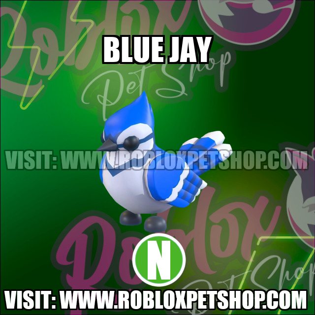 Blue Jay NEON Adopt Me