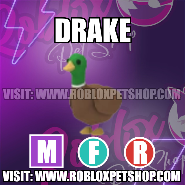 Drake MEGA FLY RIDE Adopt Me