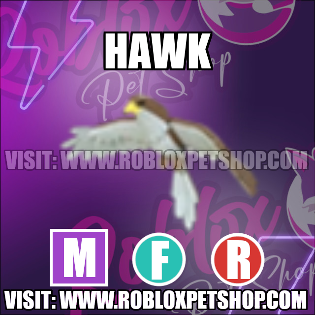 Hawk MEGA FLY RIDE Adopt Me