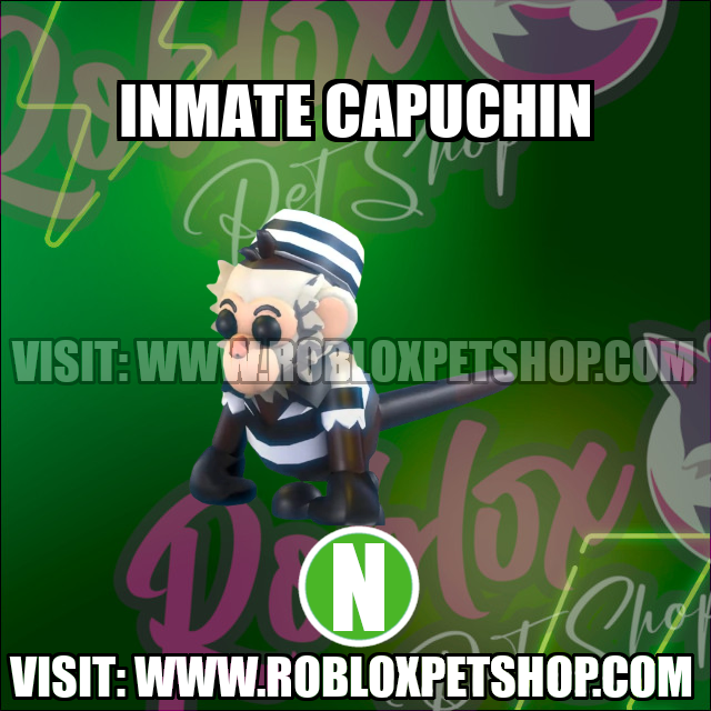 Inmate Capuchin Monkey NEON Adopt Me Inmate Capuchin Monkey NEON Adopt Me