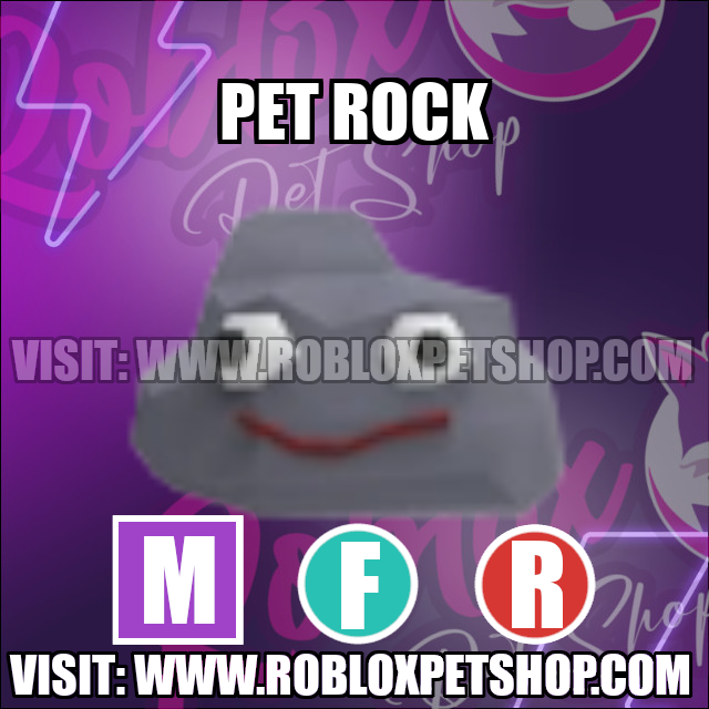 Pet Rock MEGA FLY RIDE Adopt Me