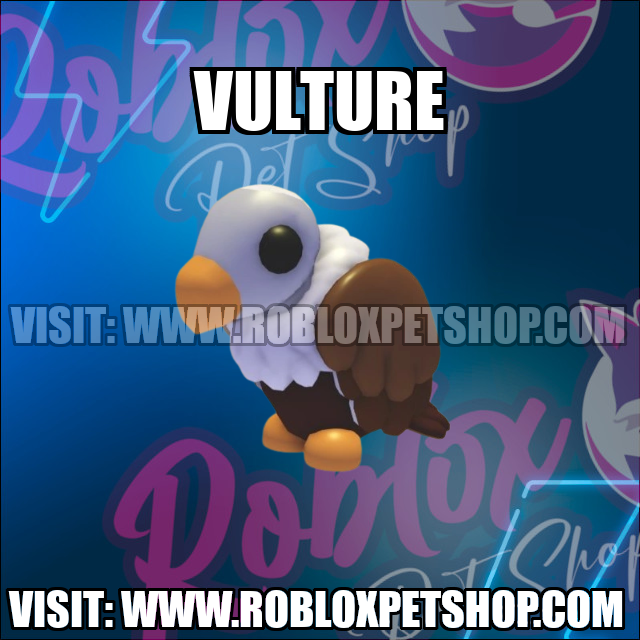 Vulture NO POTION Adopt Me Vulture NO POTION Adopt Me